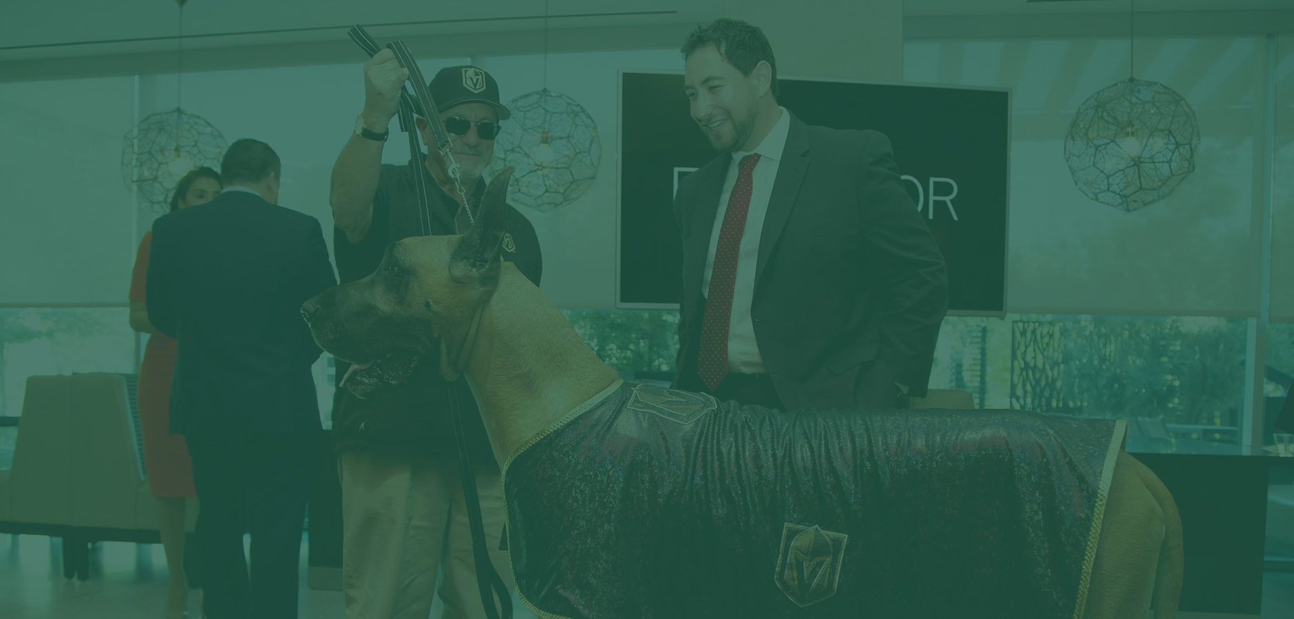 Michael Naft's Goals | Running for Clark County Commissioner